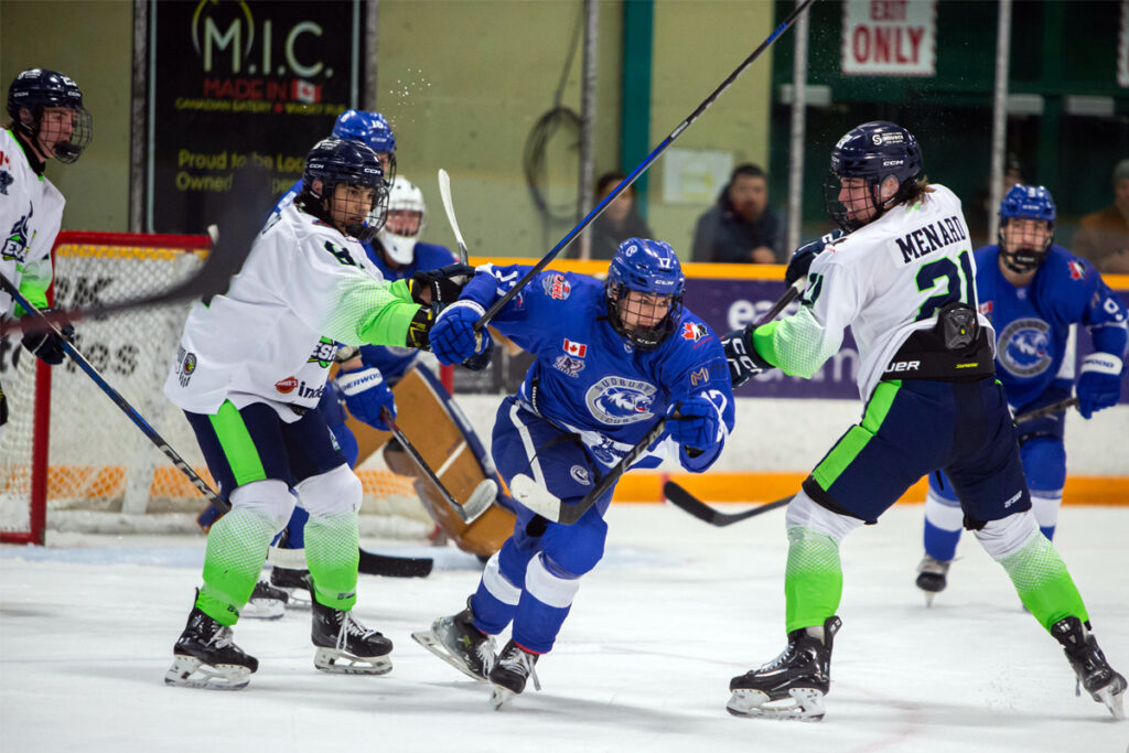 Greater Sudbury Cubs